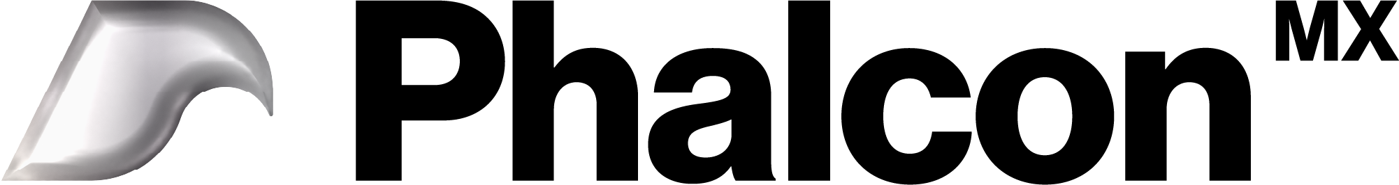 Phalcon MX | Import and Export Strategists in Mexico